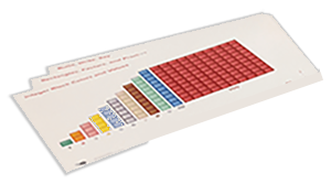 Accelerated Individualized Mastery for Multiplication - Math-U-See